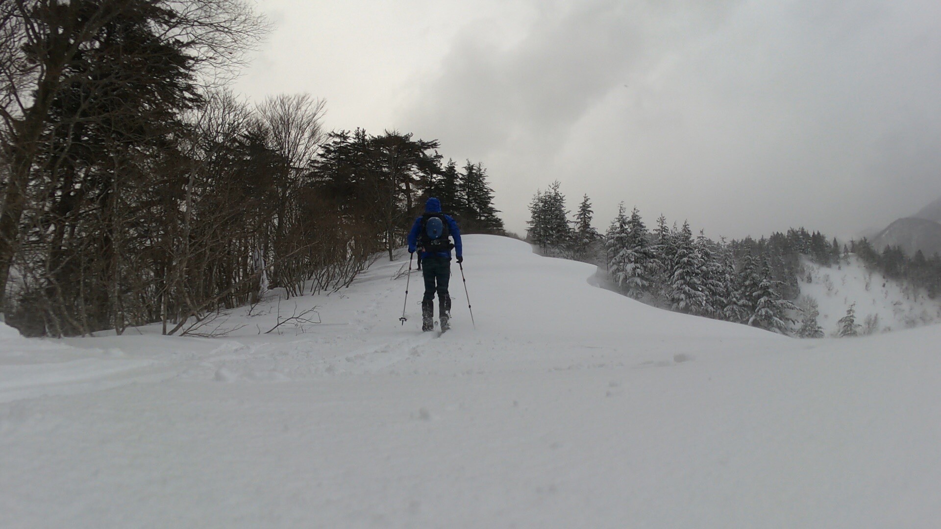 BCXC県境尾根から高陽山 / John Iさんの飯豊山・大日岳・御西岳の活動データ | YAMAP / ヤマップ