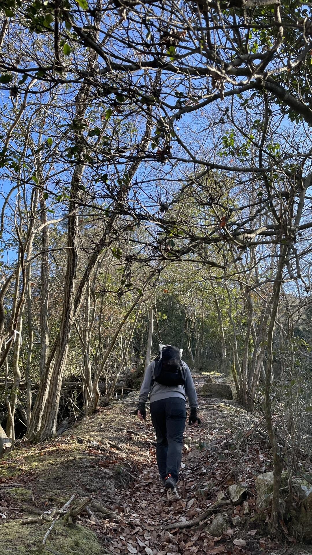 茶山・瓜生山・白鳥山・大比叡・四明岳・修学院山 / kkjjiiさんの比叡山・横高山・梶山の活動データ | YAMAP / ヤマップ