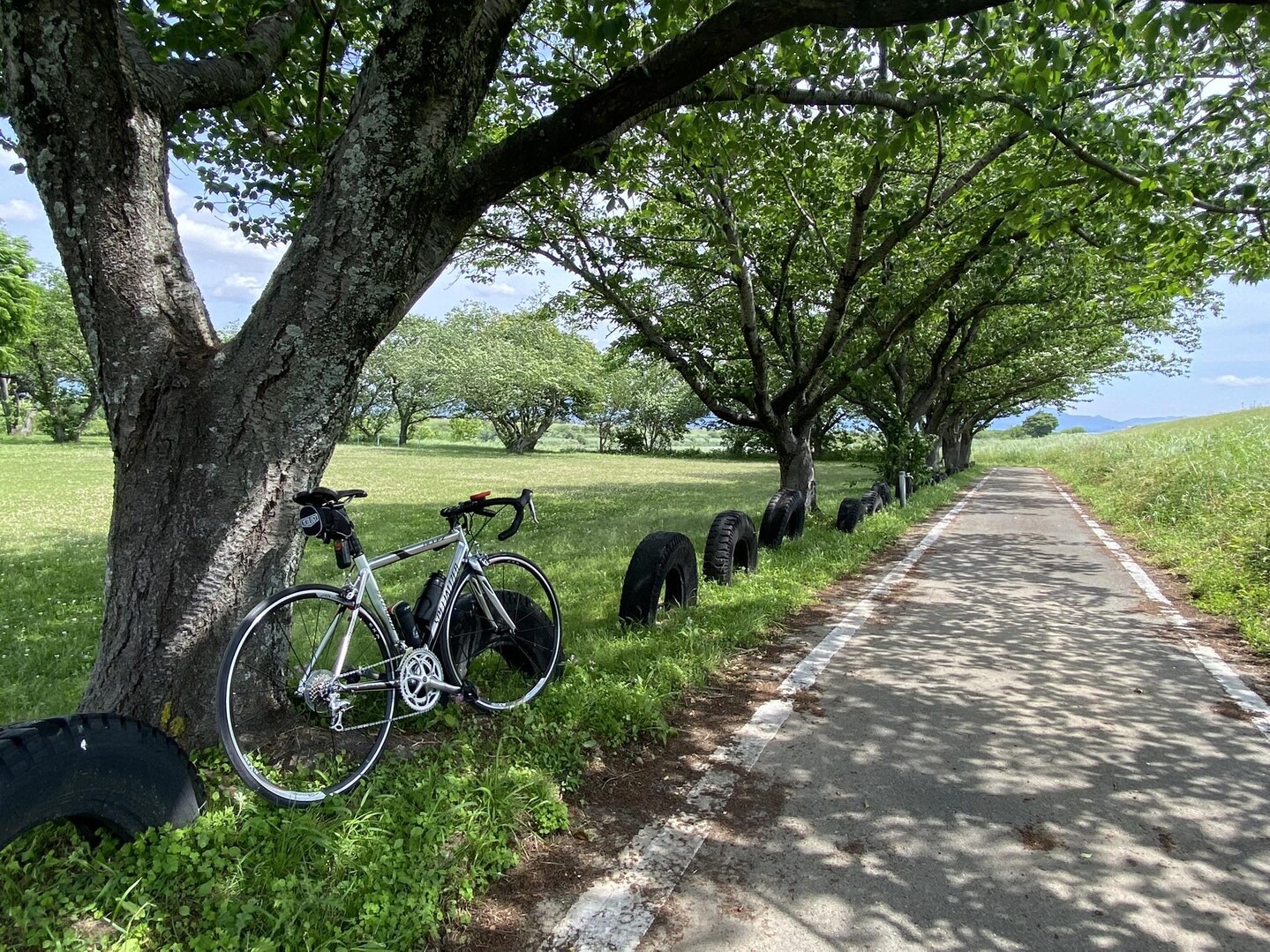 サイクリング-2024-05-11 / HIRO-Gさんのサイクリングの活動データ | YAMAP / ヤマップ