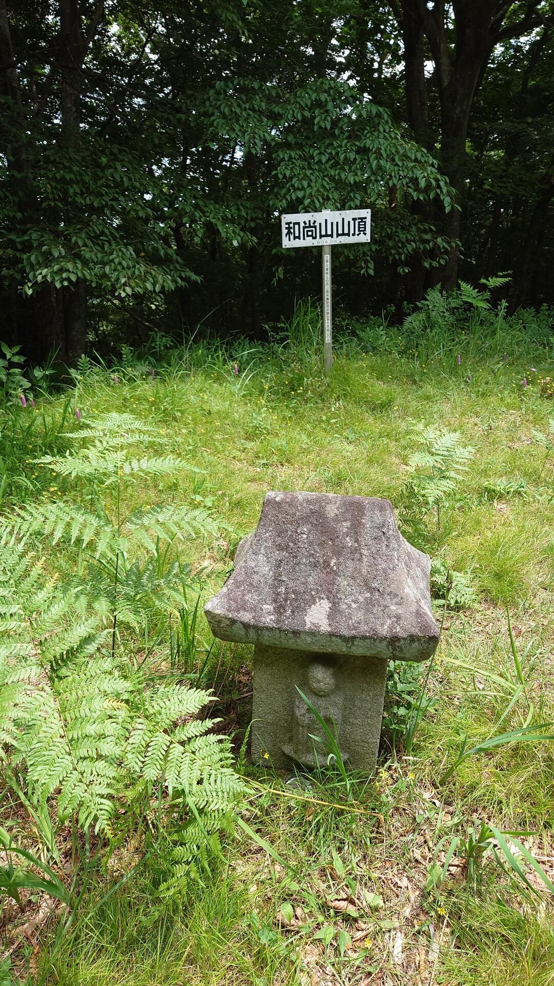 和尚山 / takaCさんの栄蔵室・花園山の活動データ | YAMAP / ヤマップ