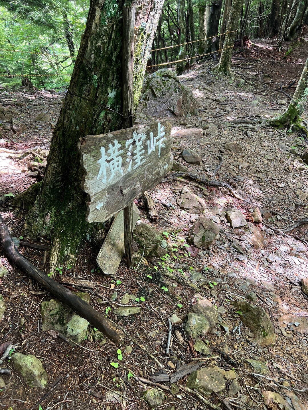 Hal（のぼるたべるあそ部）さんの投稿したフィールドメモ | YAMAP / ヤマップ