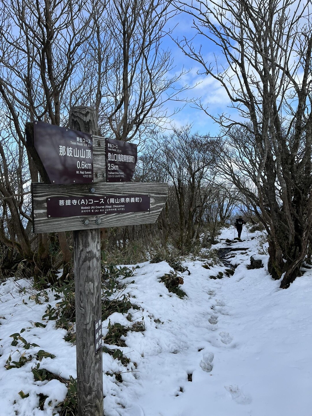 ご褒美貰ったmy home mountain-2023-11-15 / showwayさんの那岐山・滝山・広戸仙の活動データ | YAMAP / ヤマップ