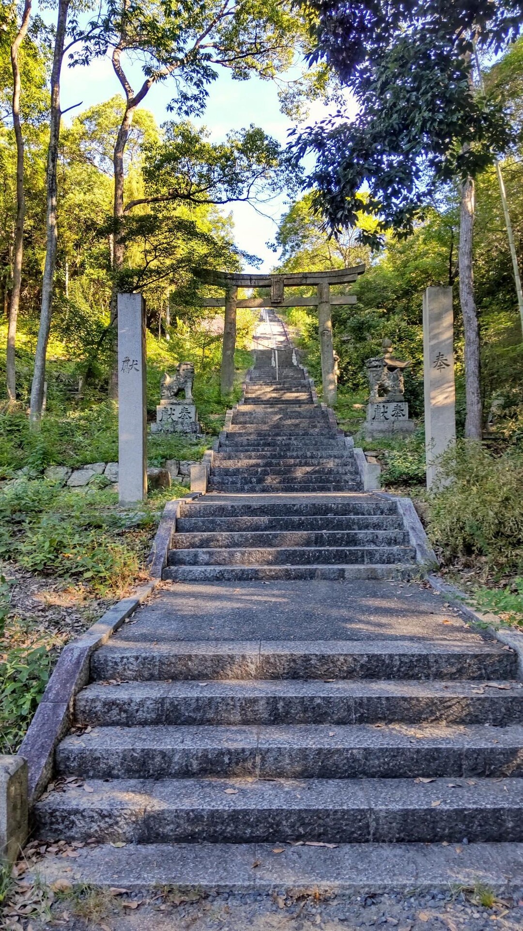 八幡山 / 蒼鷺さんの八幡山の活動データ | YAMAP / ヤマップ