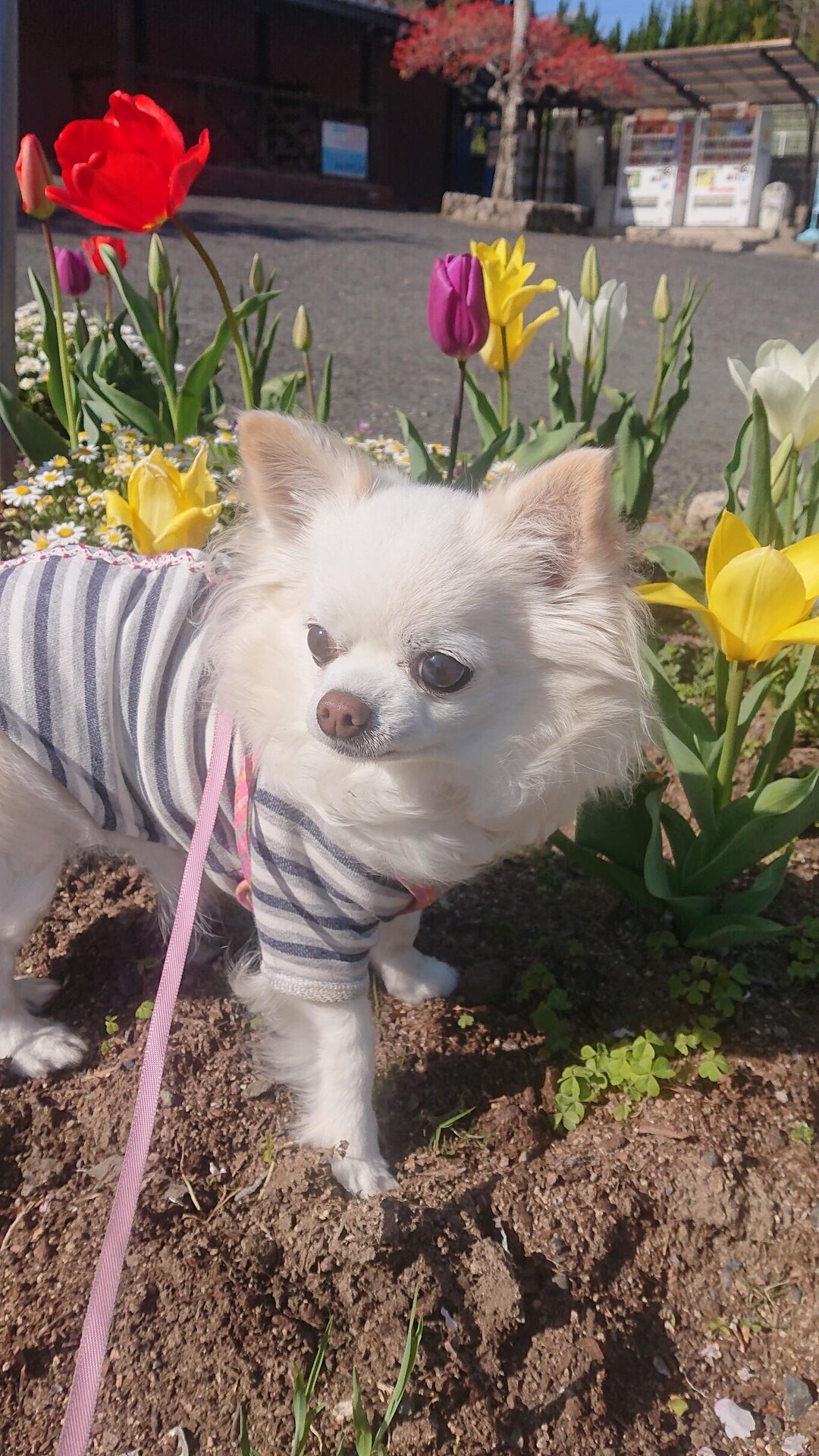 TSのページ | YAMAP / ヤマップ