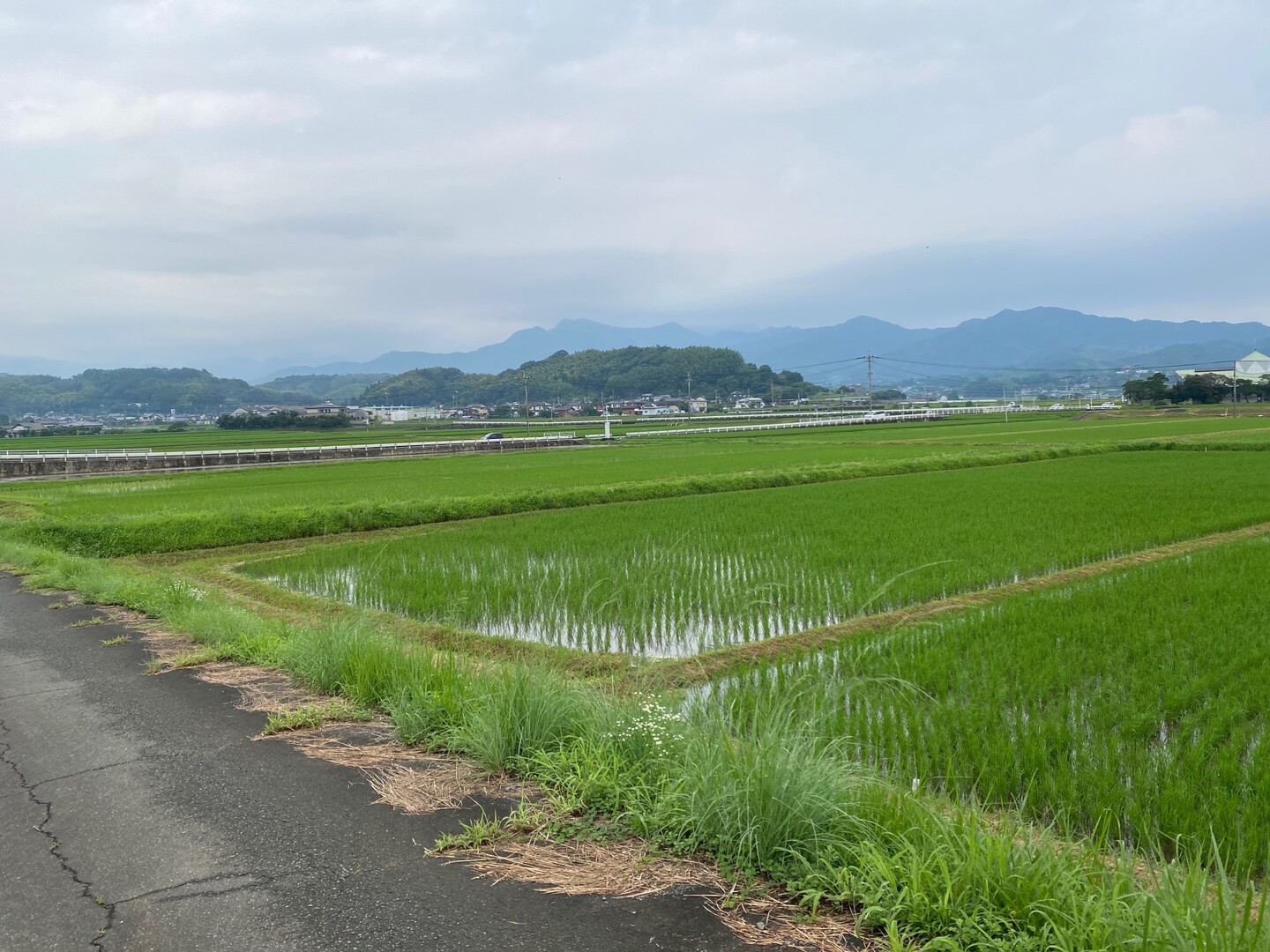 山鹿市 南エリア-2022-07-24 / ロビンくんさんの山鹿市 南エリアの活動データ | YAMAP / ヤマップ