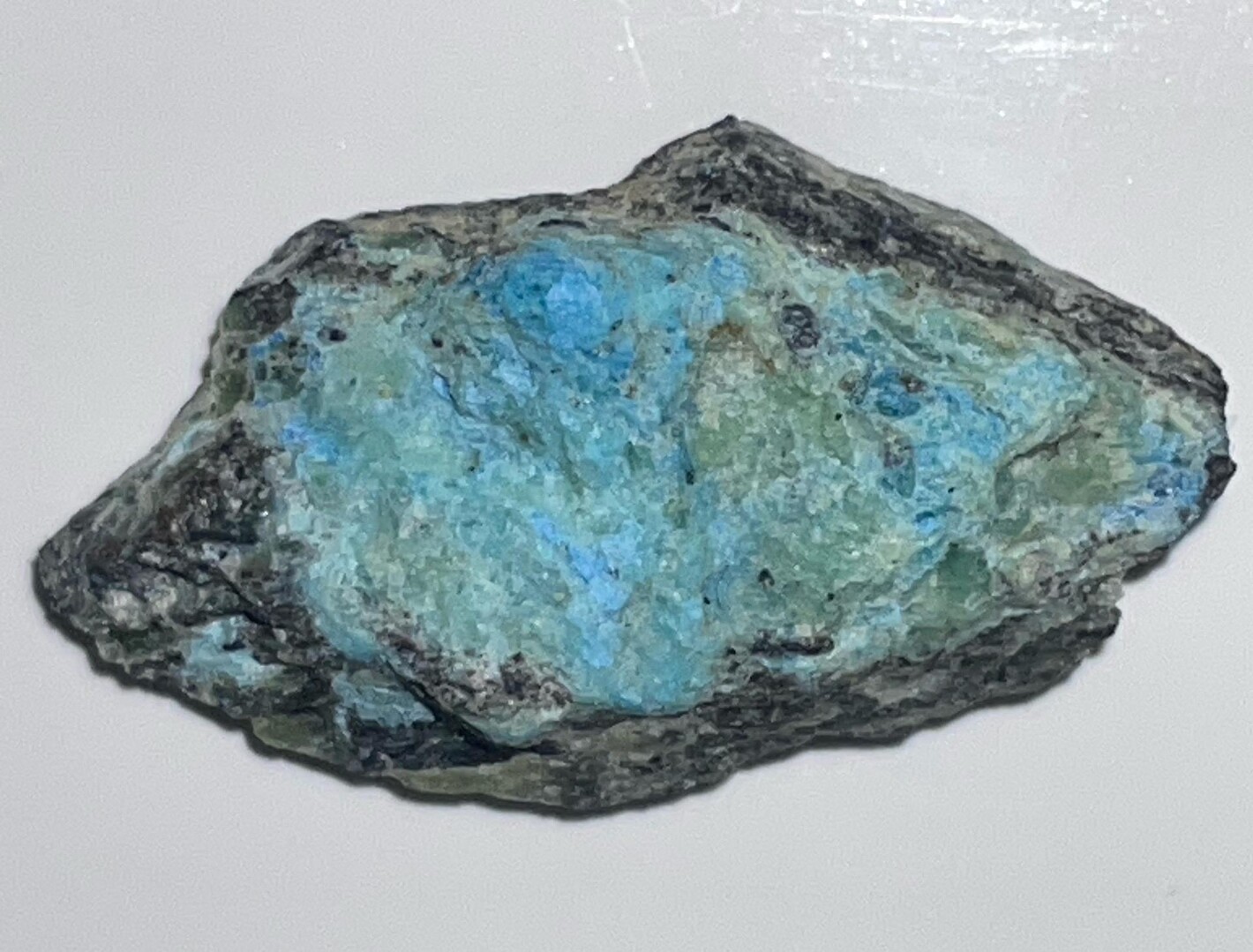 ナカウライトを探しに中宇利丸山へ / shuさんの雨生山・金山の活動日記 | YAMAP / ヤマップ