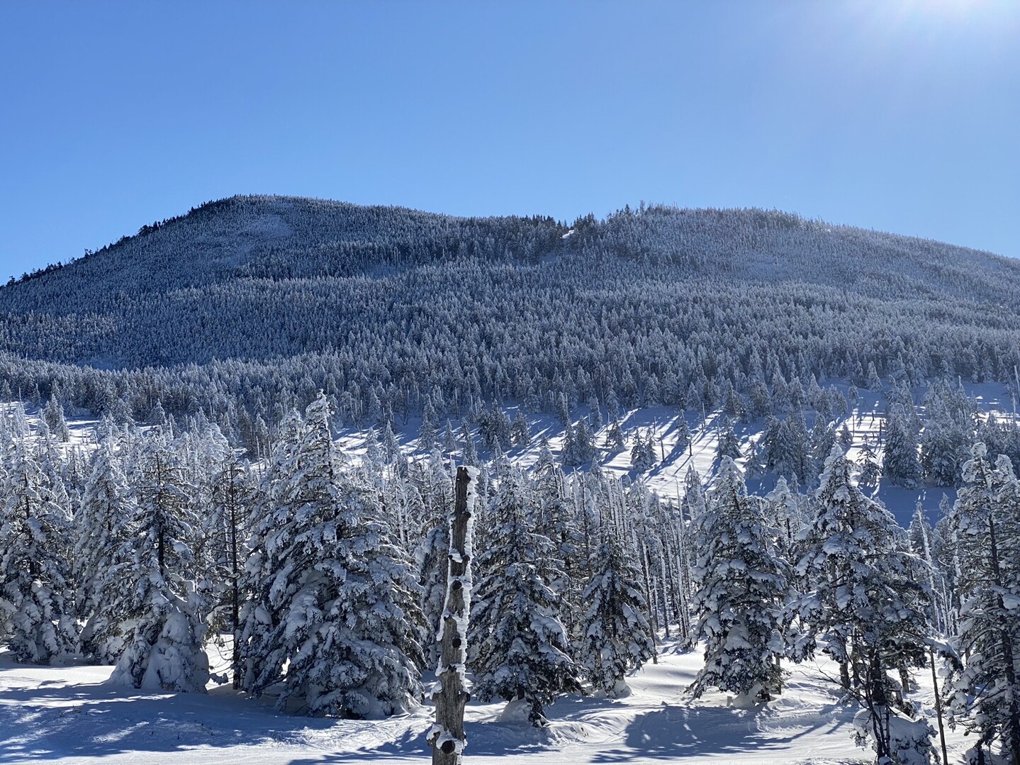北横岳（南峰）・北横岳（北峰）・縞枯山 / YUIさんの八ヶ岳（赤岳・硫黄岳・天狗岳）の活動データ | YAMAP / ヤマップ
