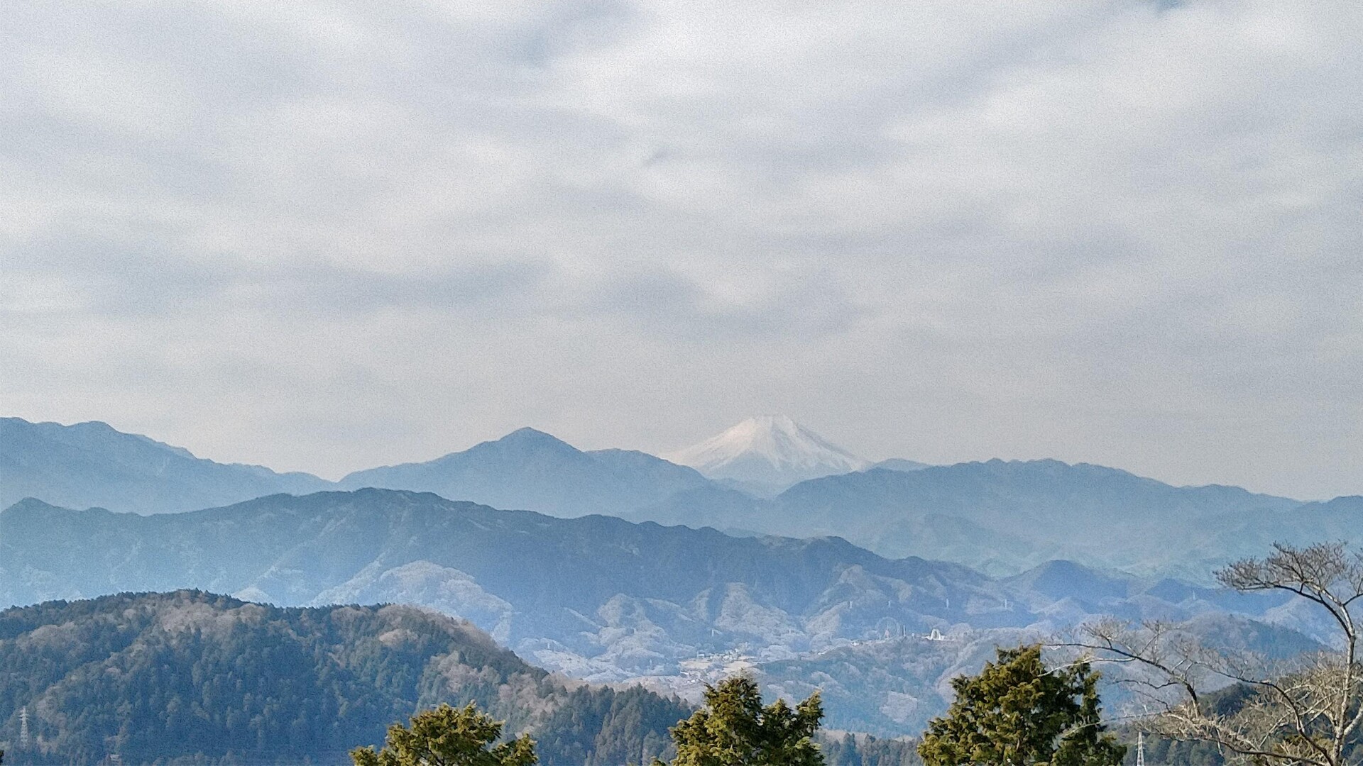 高尾山 / papa_703さんの高尾山・陣馬山・景信山の活動データ | YAMAP / ヤマップ