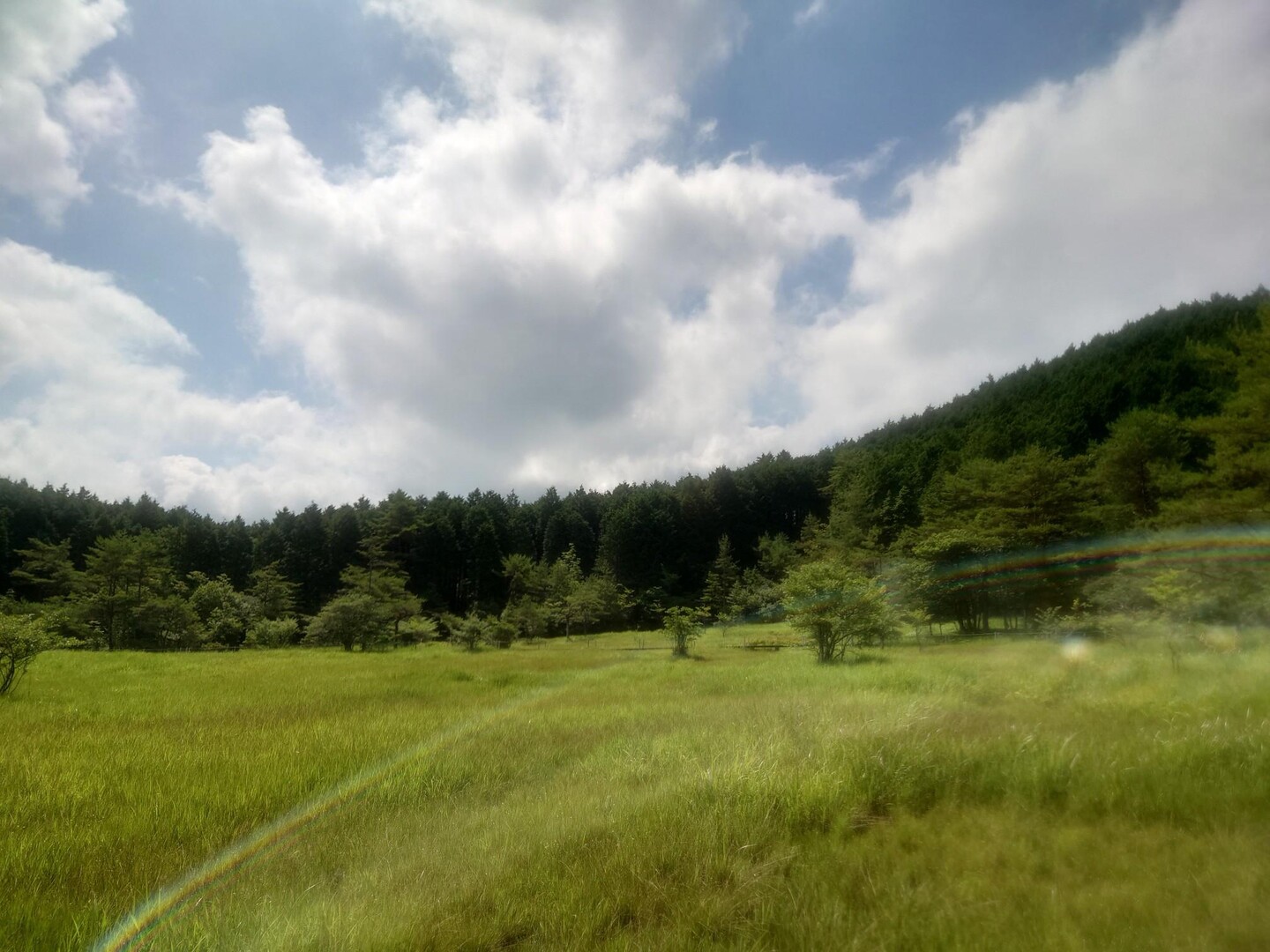 馬の背山・黒の田山・八百山・屏風山・北屏風山 / isoさんの屏風山の活動日記 | YAMAP / ヤマップ