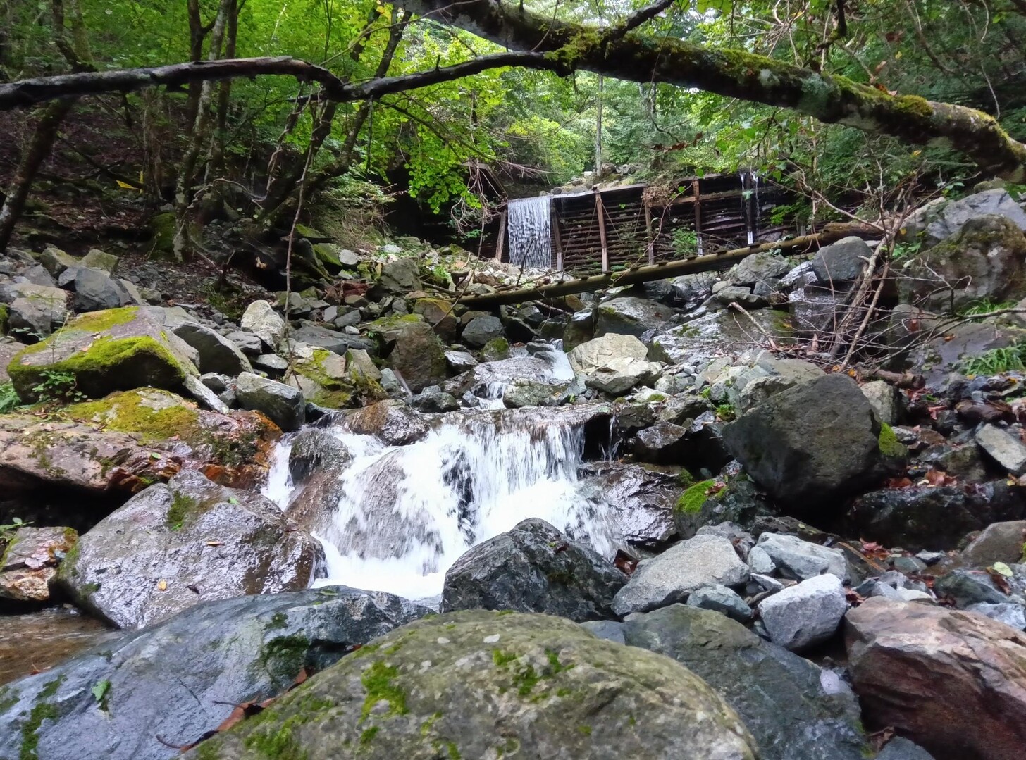 初秋 西丹沢周回 / nori 04さんの塔ノ岳・丹沢山・蛭ヶ岳の活動データ | YAMAP / ヤマップ