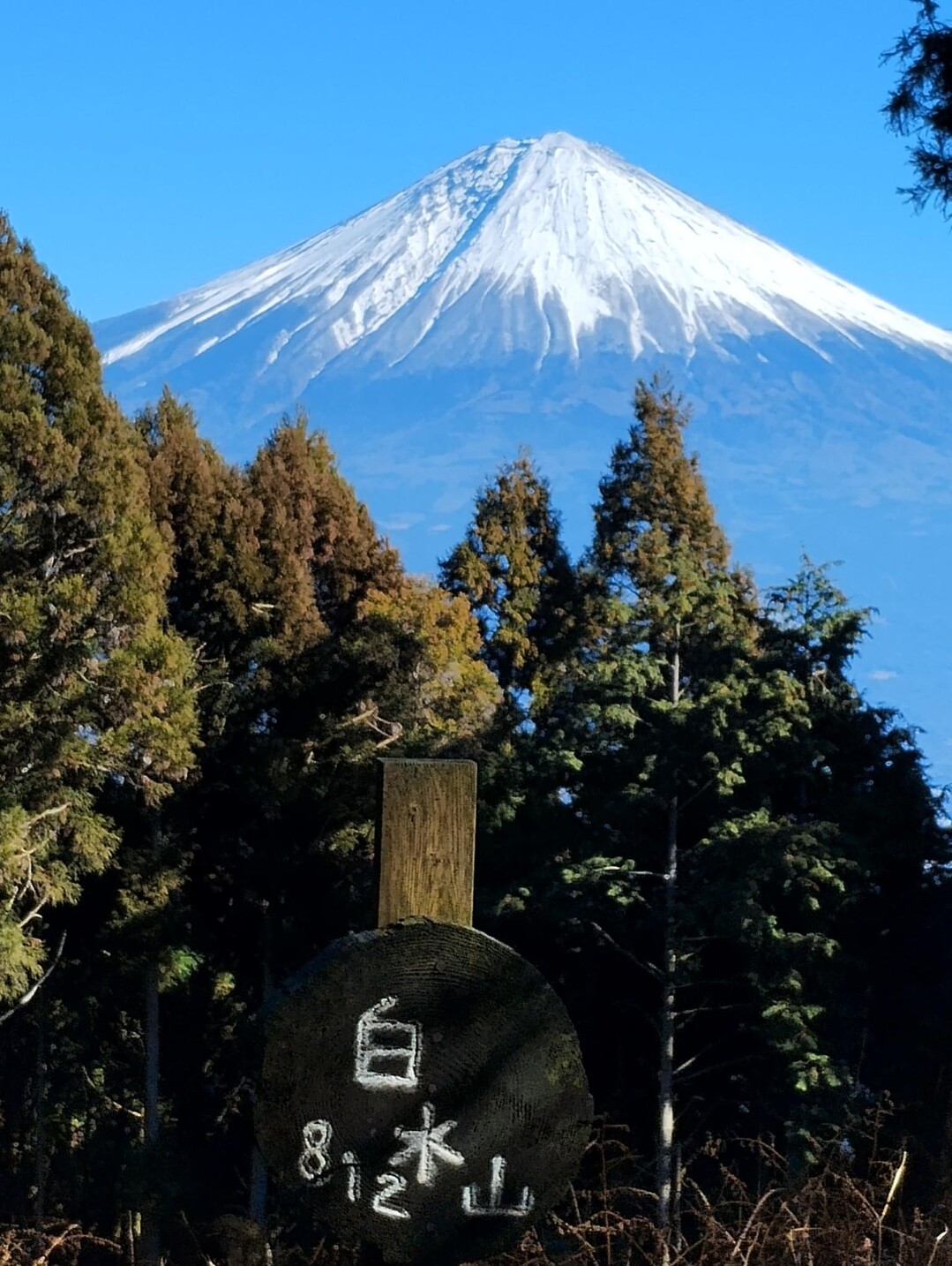 白水山 / timさんの白水山の活動データ | YAMAP / ヤマップ