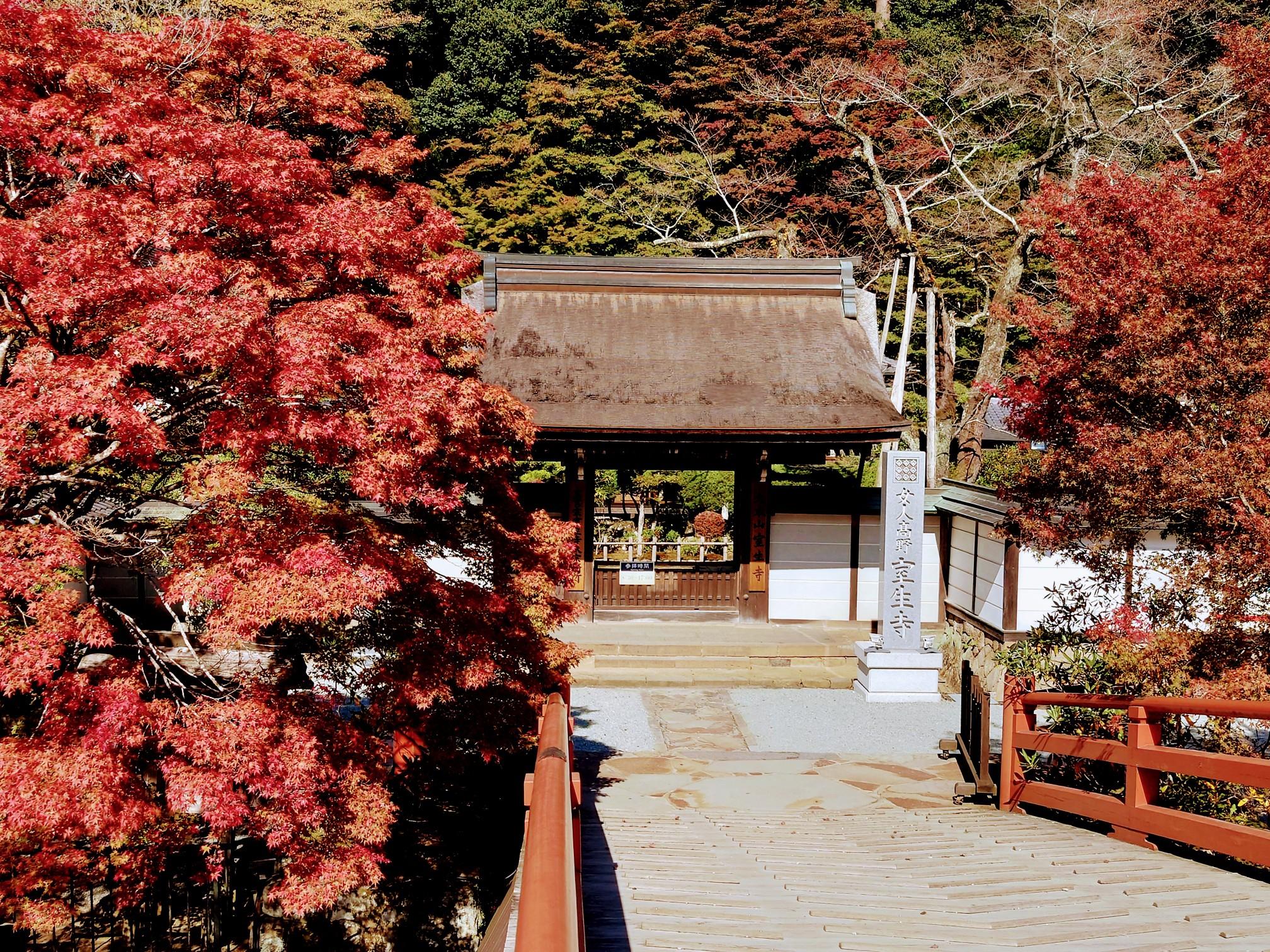 秋の室生寺🍁 / katuさんのモーメント | YAMAP / ヤマップ
