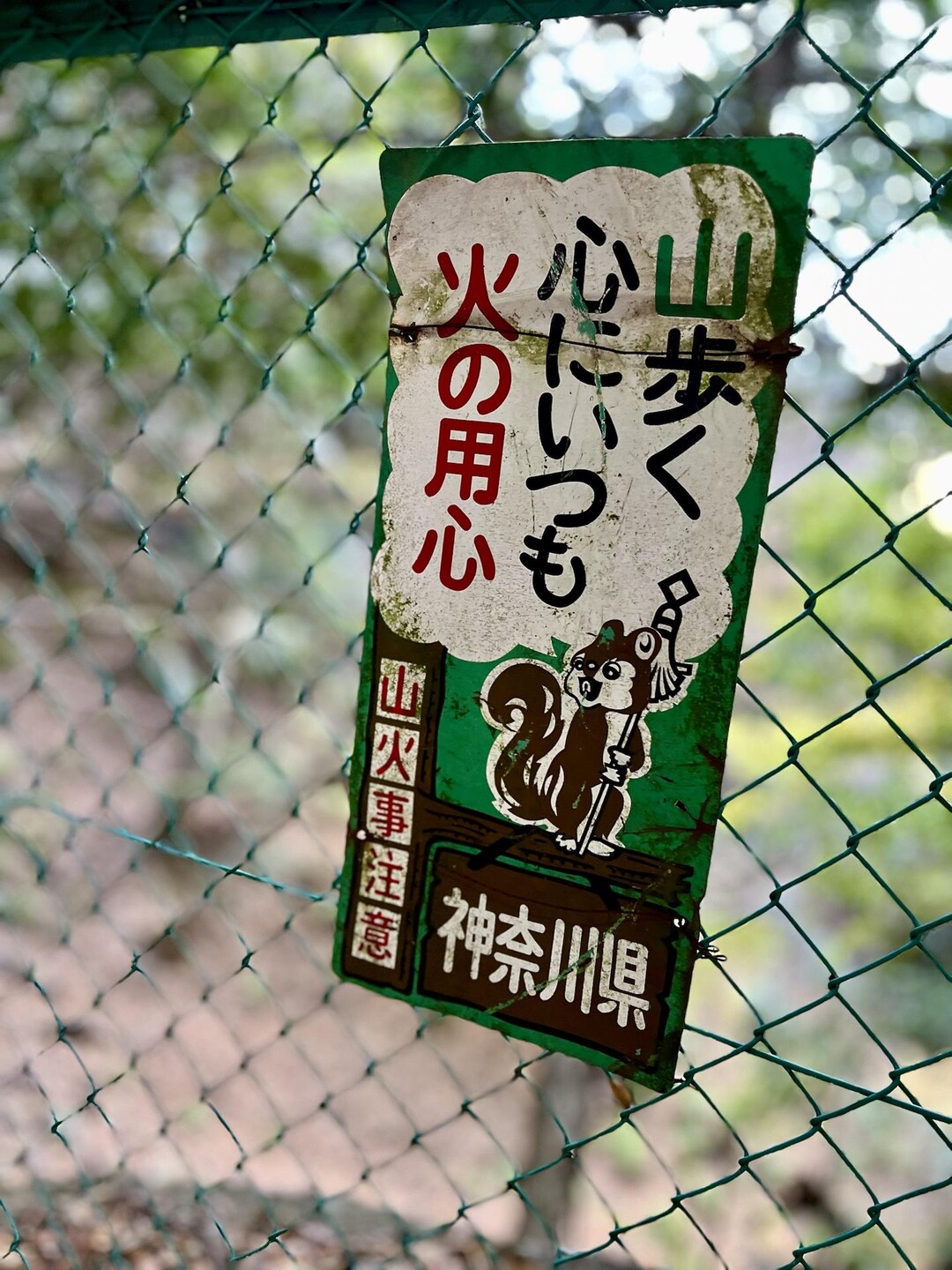 大山 / uedaさんの大山の活動データ | YAMAP / ヤマップ