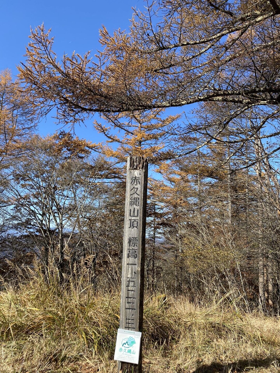 赤久縄山 その② / taraさんの赤久縄山・白髪岩・稲含山の活動データ | YAMAP / ヤマップ