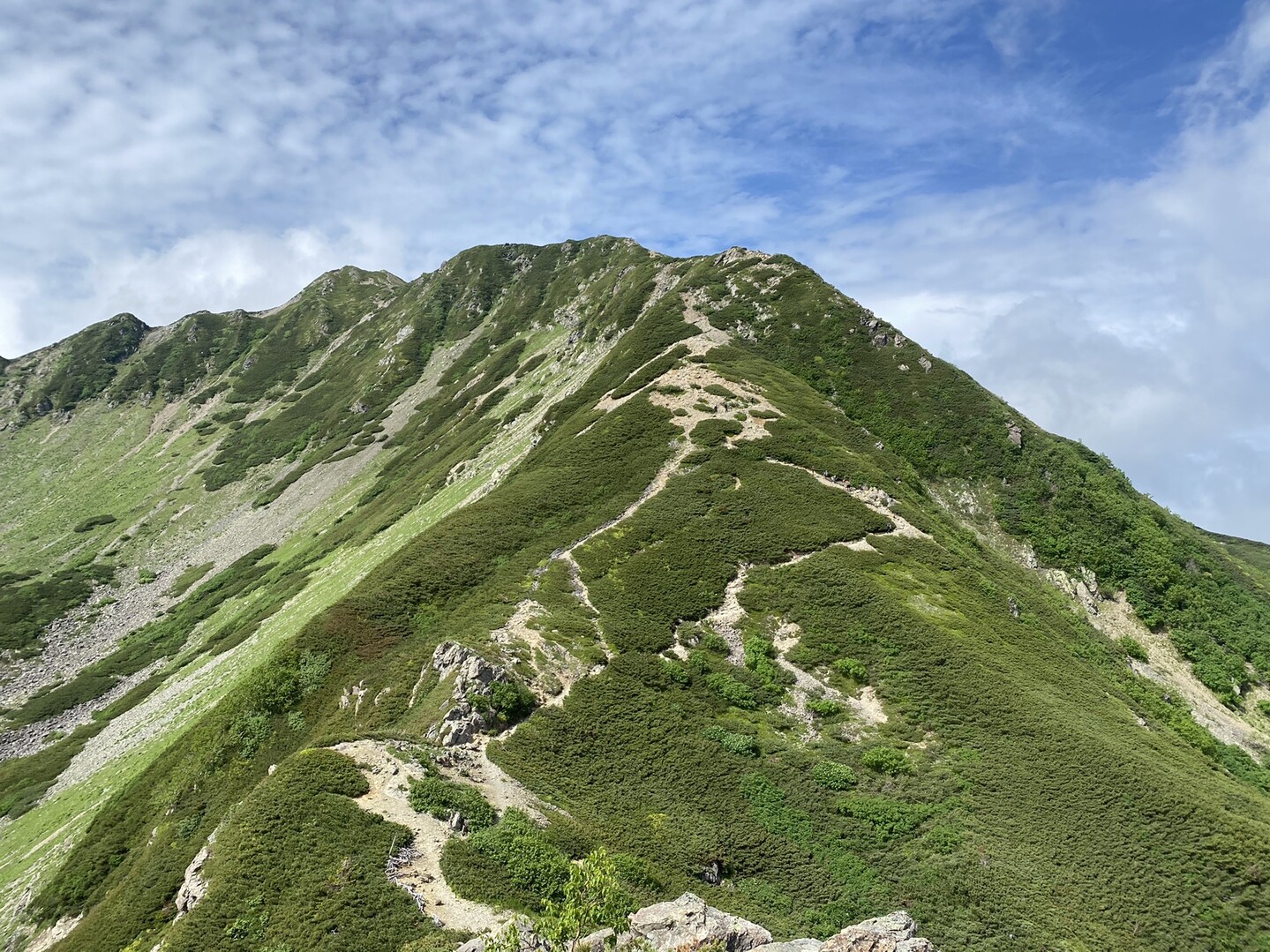 南アルプス(2日目) 仙丈ヶ岳 雷鳥に会う / rabuさんの仙丈ヶ岳・伊那荒倉岳の活動データ | YAMAP / ヤマップ