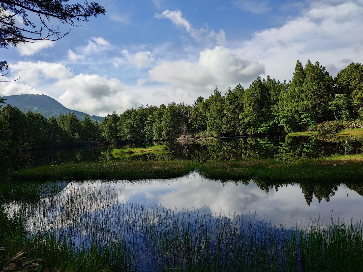 前山・志賀山・裏志賀山・鉢山 / 2543mさんの横手山・志賀山・赤石山の活動データ | YAMAP / ヤマップ