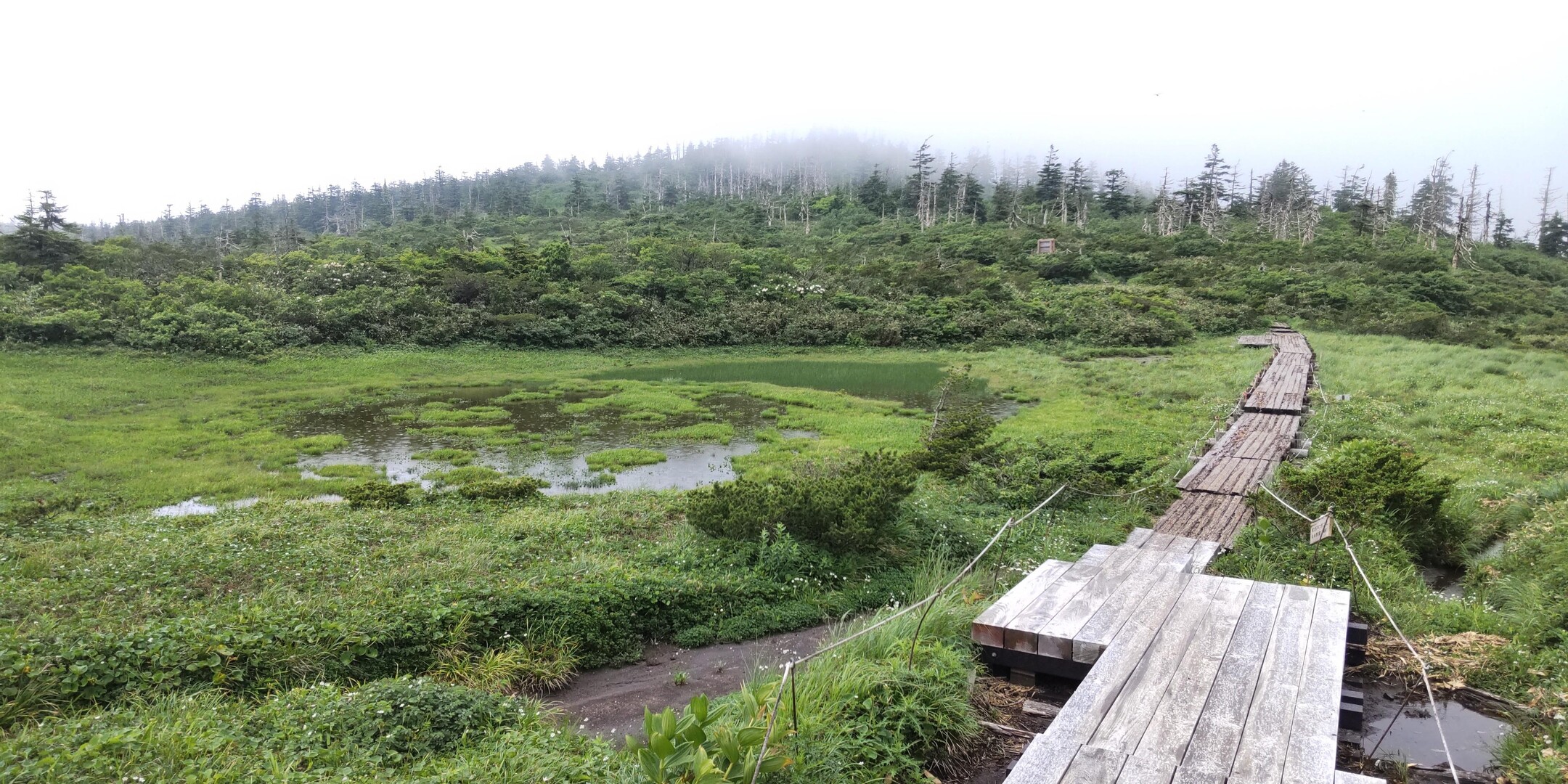 7/12屏風岳・南屏風岳・不忘山 / joeさんの蔵王山・雁戸山・不忘山の活動データ | YAMAP / ヤマップ