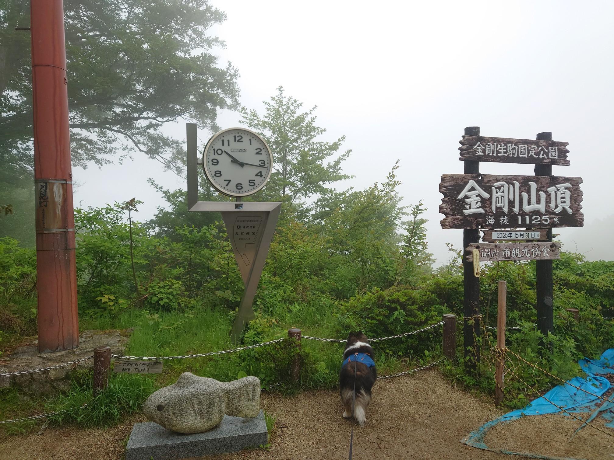 金剛山 / Teddyさんの金剛山・二上山・大和葛城山の活動データ | YAMAP / ヤマップ