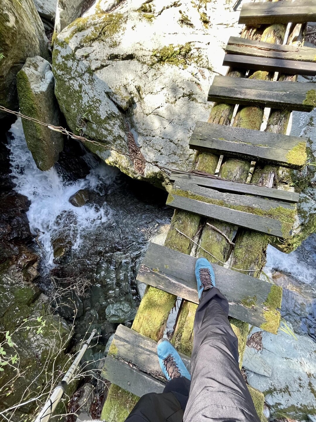 赤星山 / cottonさんの赤星山・豊受山の活動データ | YAMAP / ヤマップ