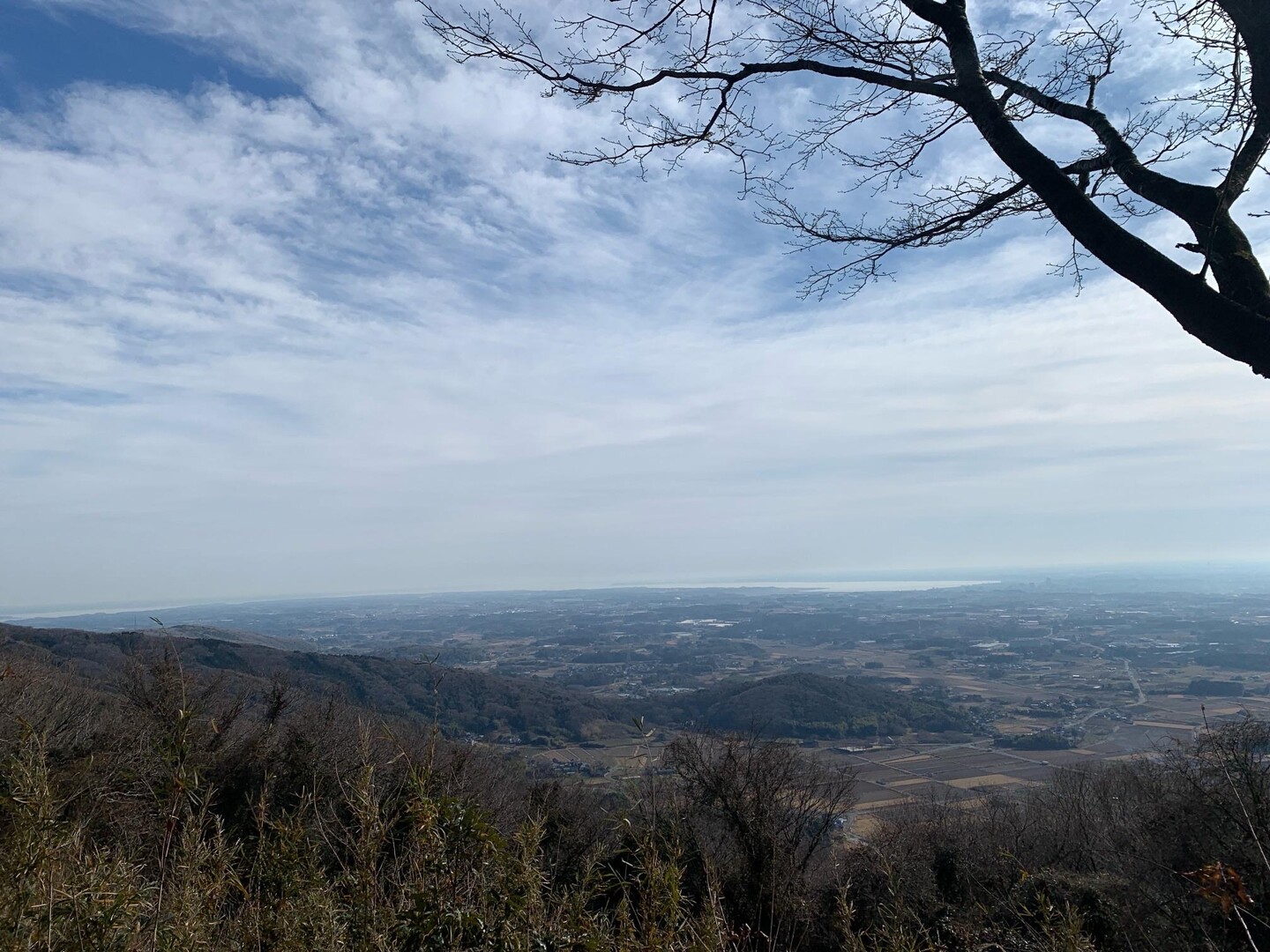 小町山 VII 2024-01-10 / tz_sskさんの宝篋山・富岡山の活動データ | YAMAP / ヤマップ
