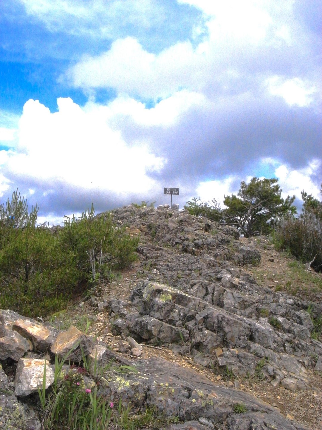 名前が素敵 男山⛰️ / oma1173さんの男山・天狗山の活動データ | YAMAP / ヤマップ