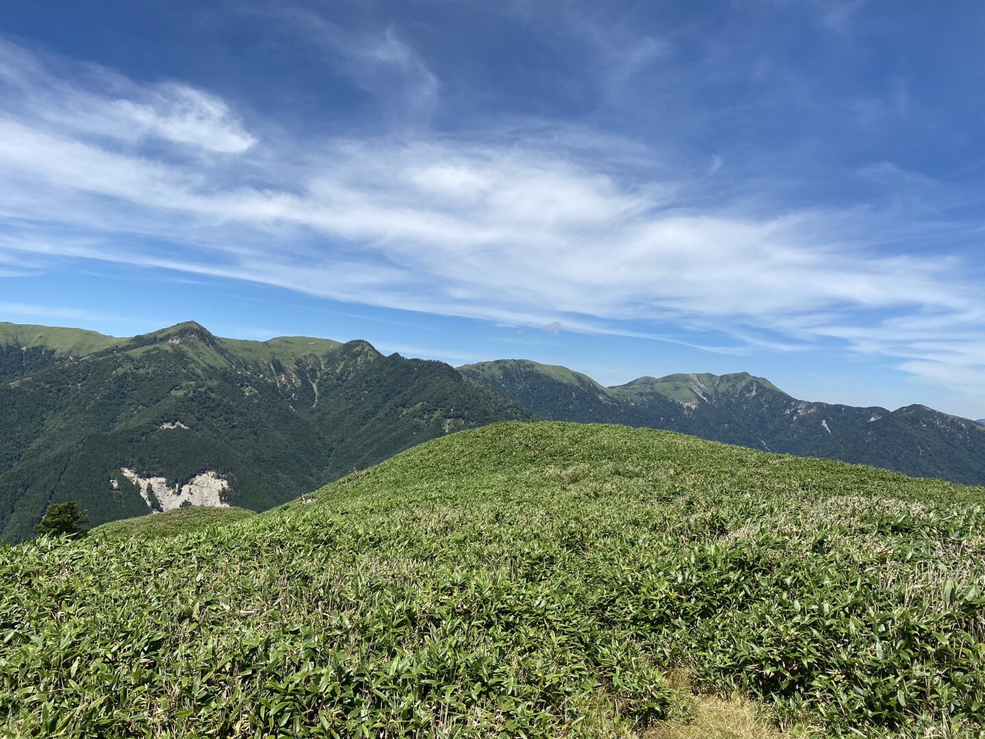 綱附森 / boziiさんの三嶺・天狗塚・石立山の活動データ | YAMAP / ヤマップ