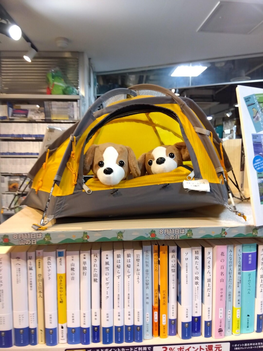 OUTDOOR SHOPツアーの下見散策 / スイさんのウォーキングの活動データ | YAMAP / ヤマップ