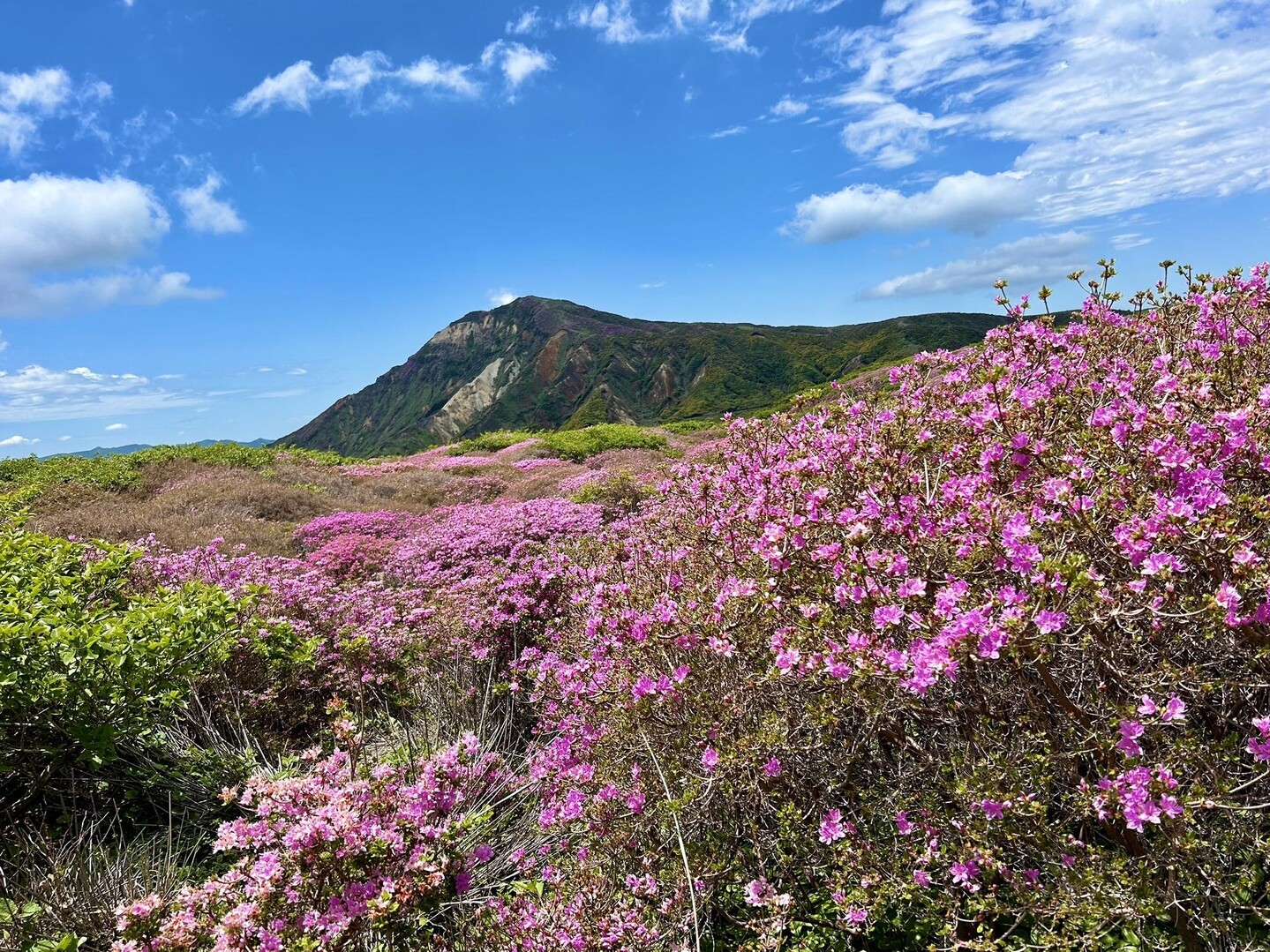 TEAM六根清浄 遠征2日目 阿蘇の旅 / takemariさんの阿蘇山・高岳・根子岳の活動日記 | YAMAP / ヤマップ