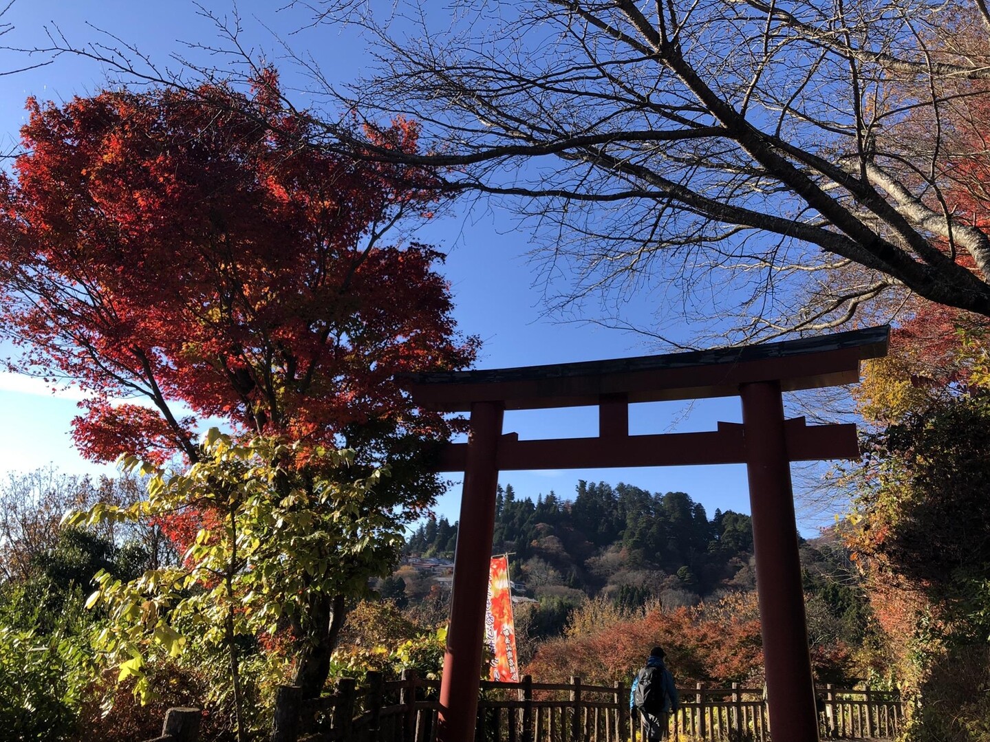 御岳山→大岳山→日の出山 / moeさんの大岳山・御岳山・御前山の活動データ | YAMAP / ヤマップ