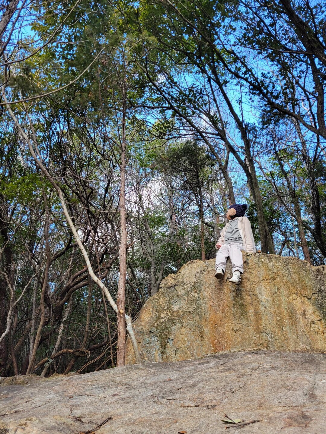 芥子山 / kazu🍀さんの芥子山・シャシャ木山の活動日記 | YAMAP / ヤマップ