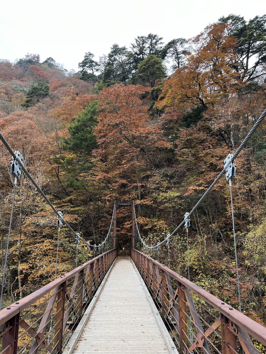 三頭山（東峰）・三頭山（中央峰）・三頭山（西峰） / SSさんの三頭山・槇寄山・土俵岳の活動データ | YAMAP / ヤマップ