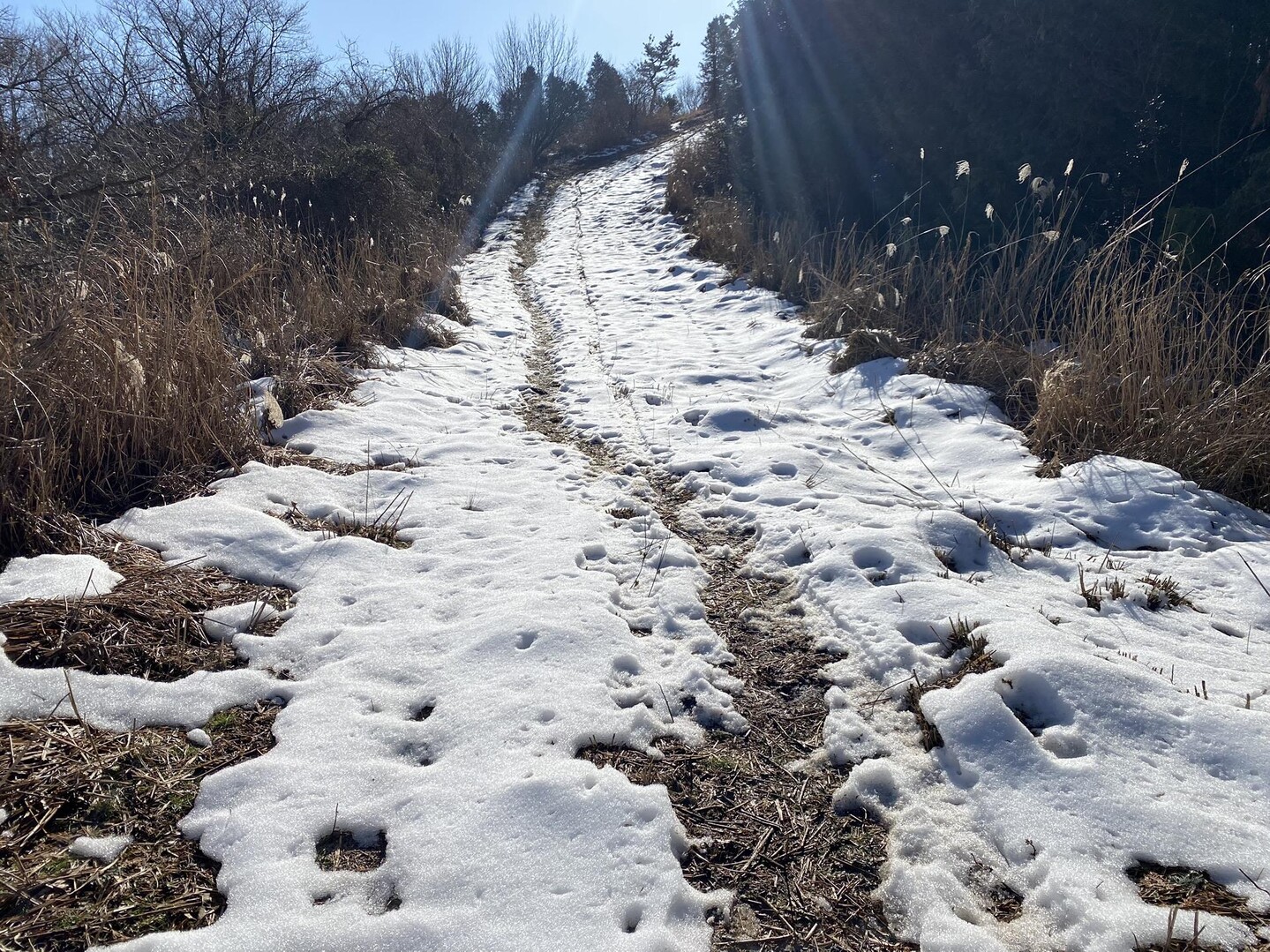 鷹巣山・牛斬山・山犬の峠・焼立山・赤牟田の辻・福智山・城田山 / kayo☆さんの福智山・尺岳・雲取山の活動データ | YAMAP / ヤマップ
