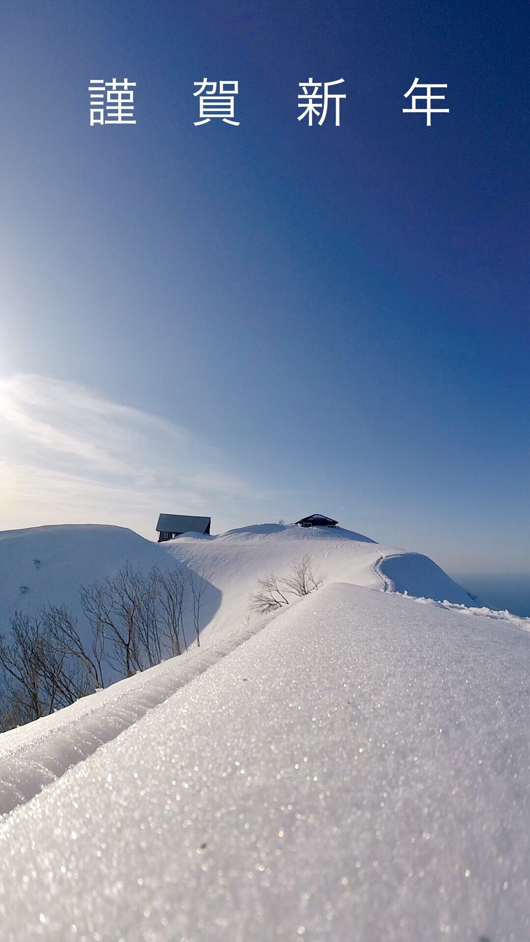 新年あけましておめでとうございます 雪... / tataさんのモーメント | YAMAP / ヤマップ