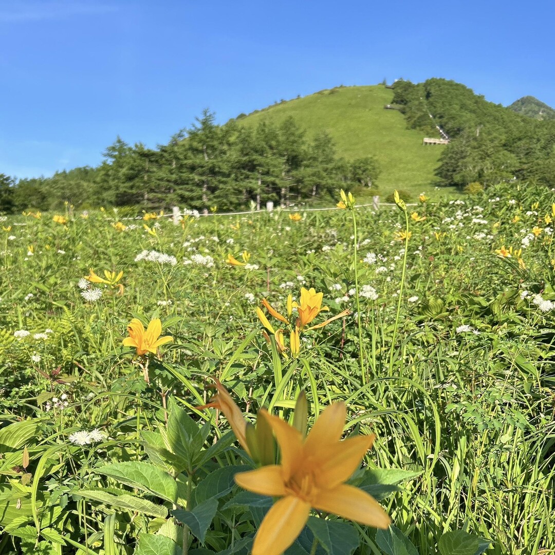小丸山・赤薙山 梅雨の晴れ間に / papeさんの女峰山・赤薙山・大真名子山の活動データ | YAMAP / ヤマップ