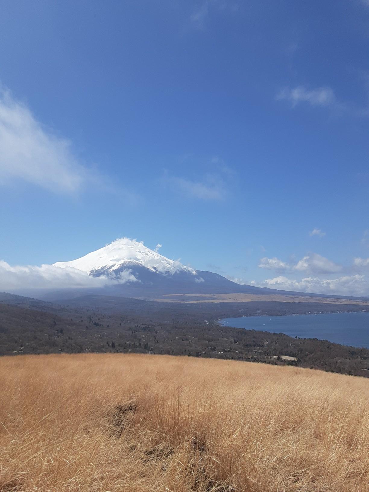 鉄砲木ノ頭(明神山)🗻 富嶽三十六景 / spesさんの三国山・大洞山・不老山の活動データ | YAMAP / ヤマップ