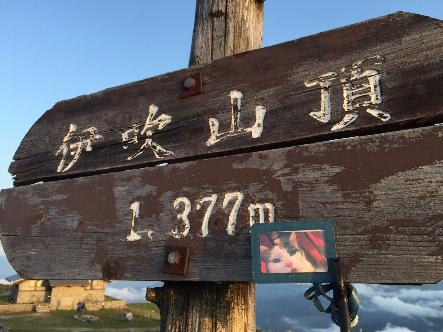 徳蔵山・伊吹山・なっくんと共にR4-18(通算122) / なっくんさんの伊吹山・伊吹高原・御座峰の活動データ | YAMAP / ヤマップ