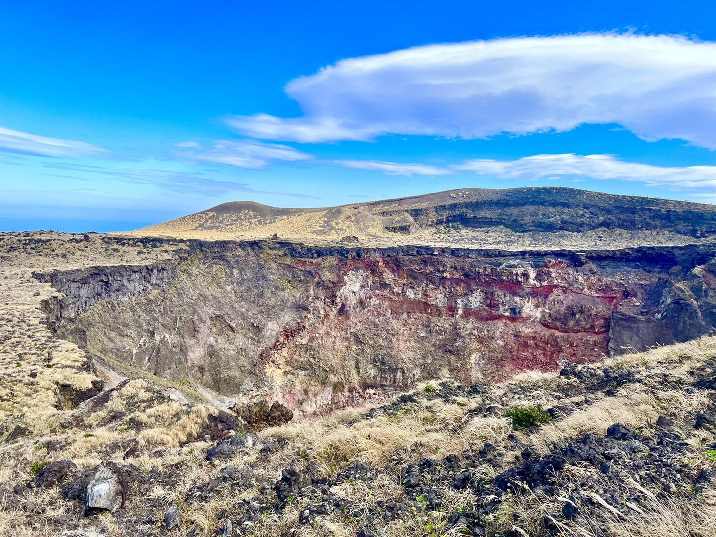 伊豆大島 三原山 / HKさんの伊豆大島・三原山の活動日記 | YAMAP / ヤマップ