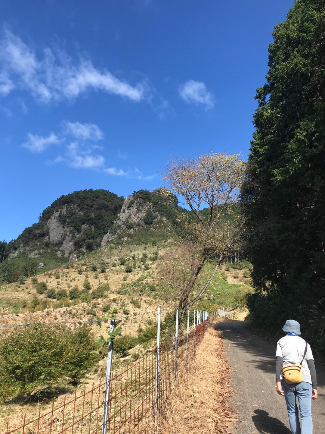 坊主山 / midoriさんの古賀志山・赤岩山・鞍掛山・男抱山・半蔵山の活動データ | YAMAP / ヤマップ