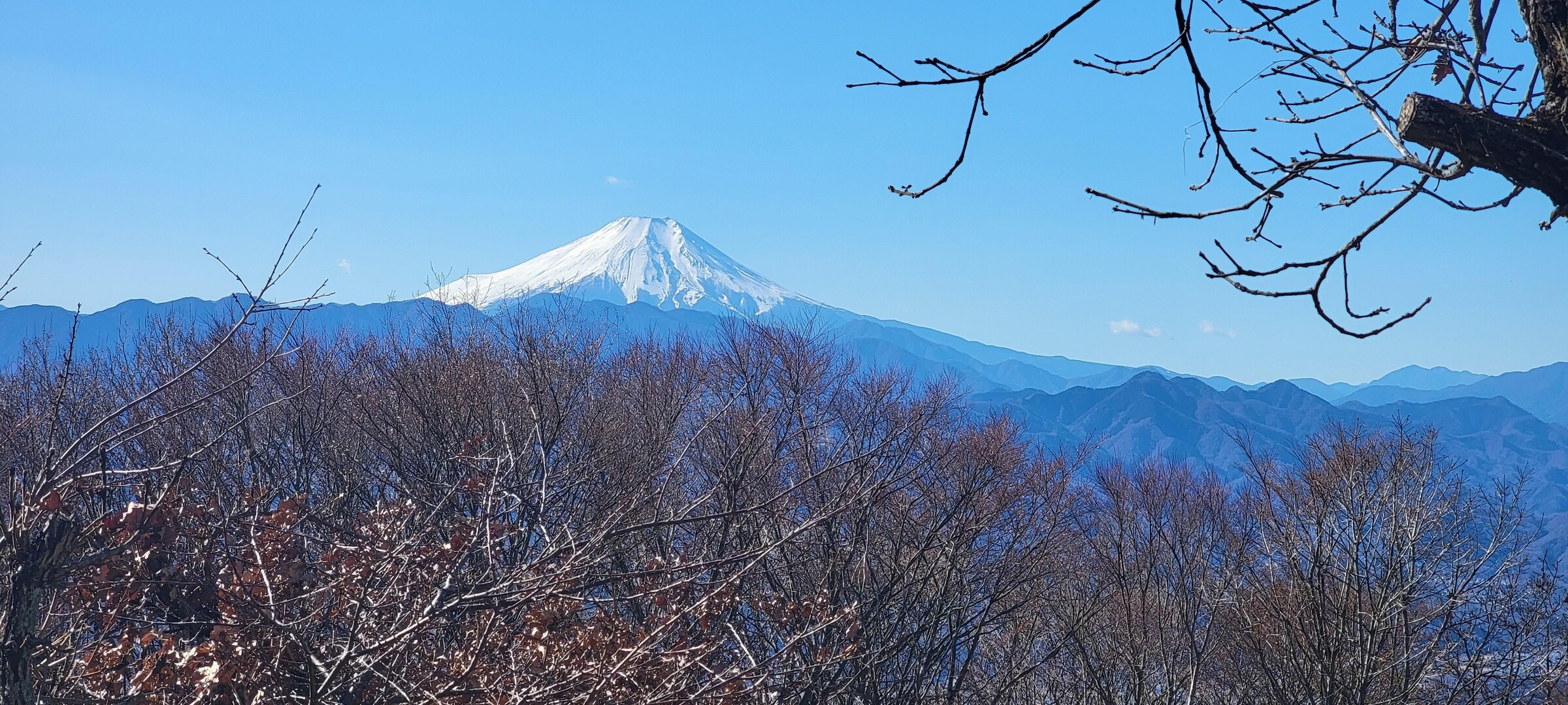 陣馬山 / SHIHOさんの陣馬山 下山メシ聖地巡礼マップ#4の活動データ | YAMAP / ヤマップ