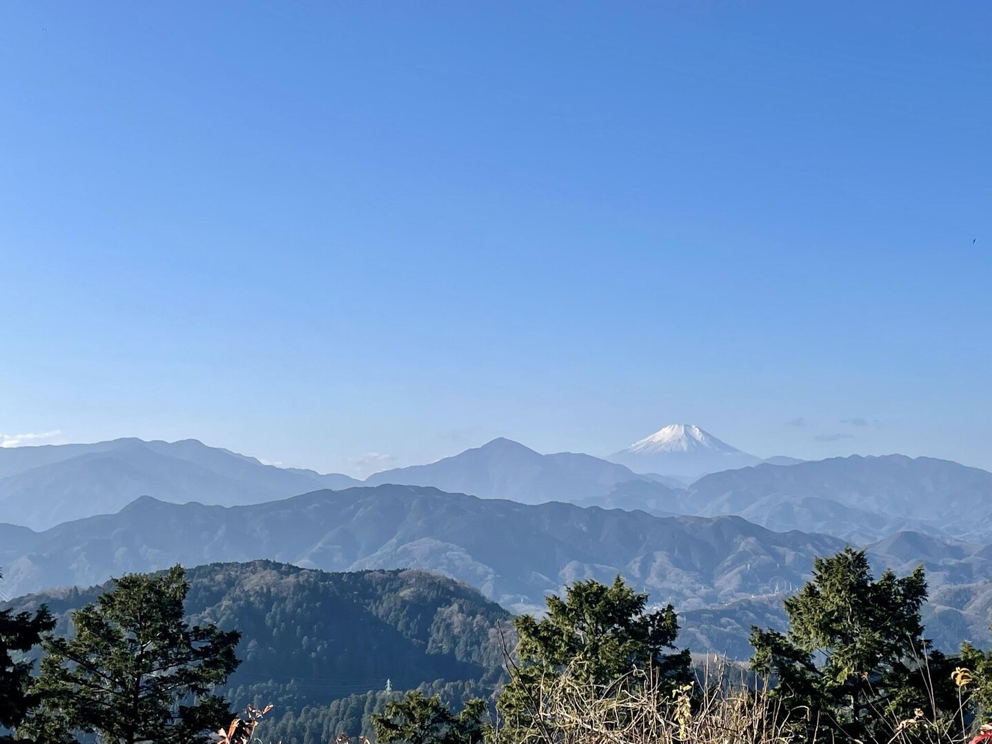 高尾山 / k.horiさんの高尾山・陣馬山・景信山の活動データ | YAMAP / ヤマップ