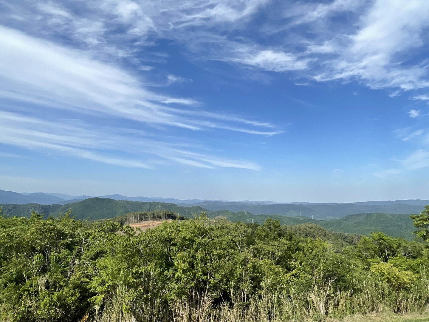 syupyさんの投稿したフィールドメモ | YAMAP / ヤマップ