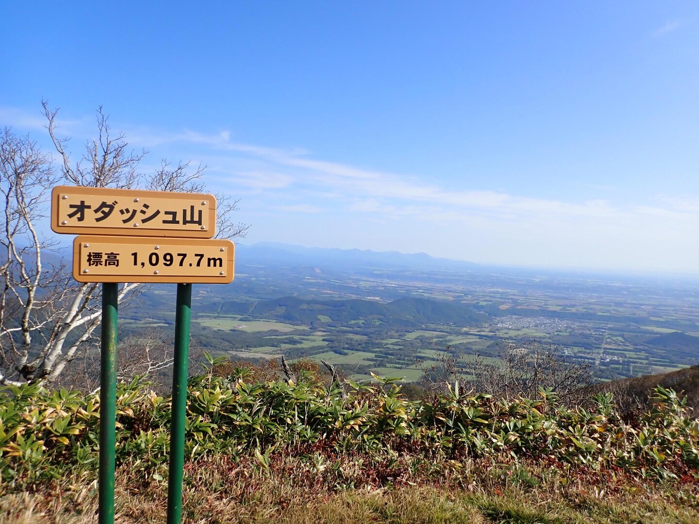 オダッシュ山 / moneさんのオダッシュ山の活動データ | YAMAP / ヤマップ