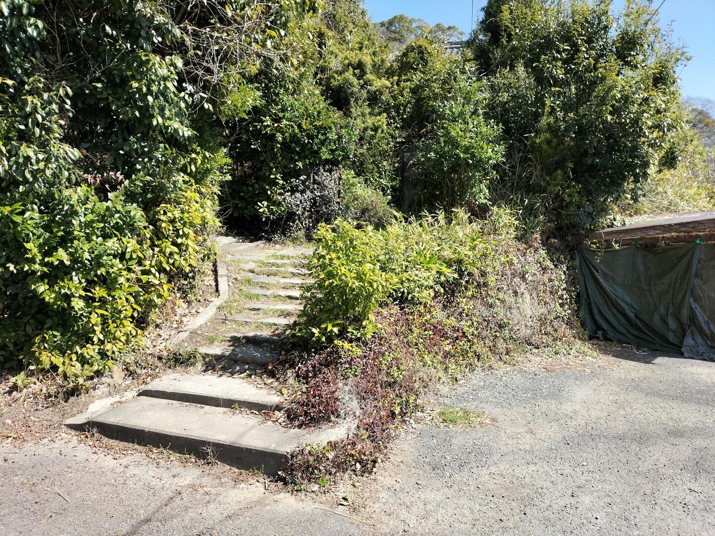 Takuさんの投稿したフィールドメモ | YAMAP / ヤマップ