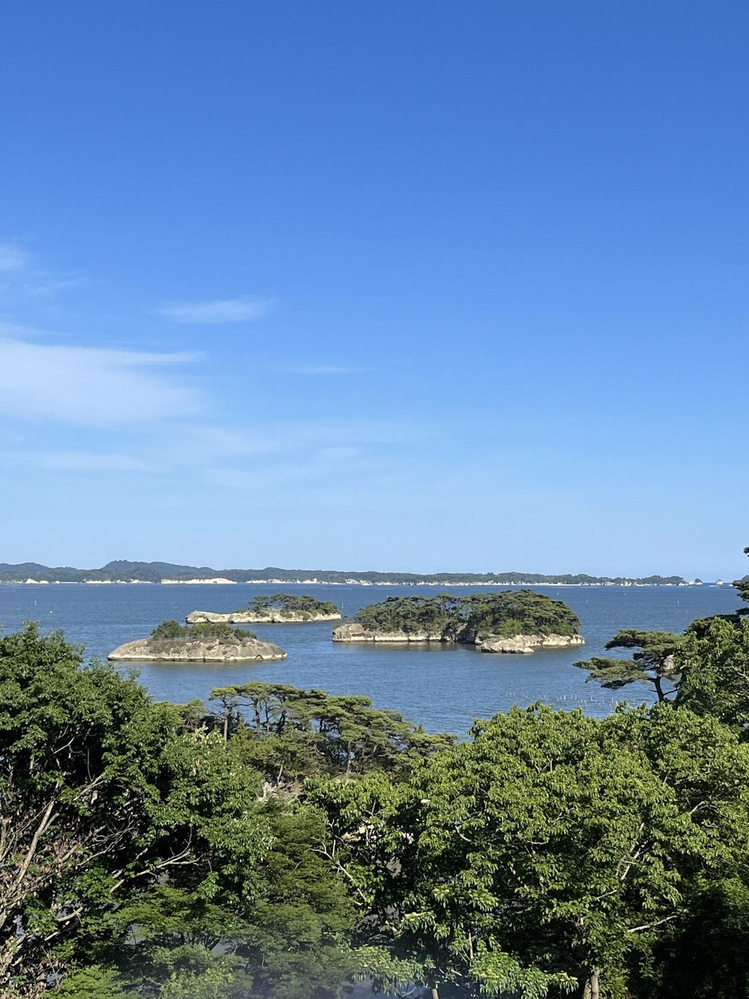松島やAh松島ya MATUSHIMA yah@仙台 / ITちゃぶ台さんの松島の活動データ | YAMAP / ヤマップ