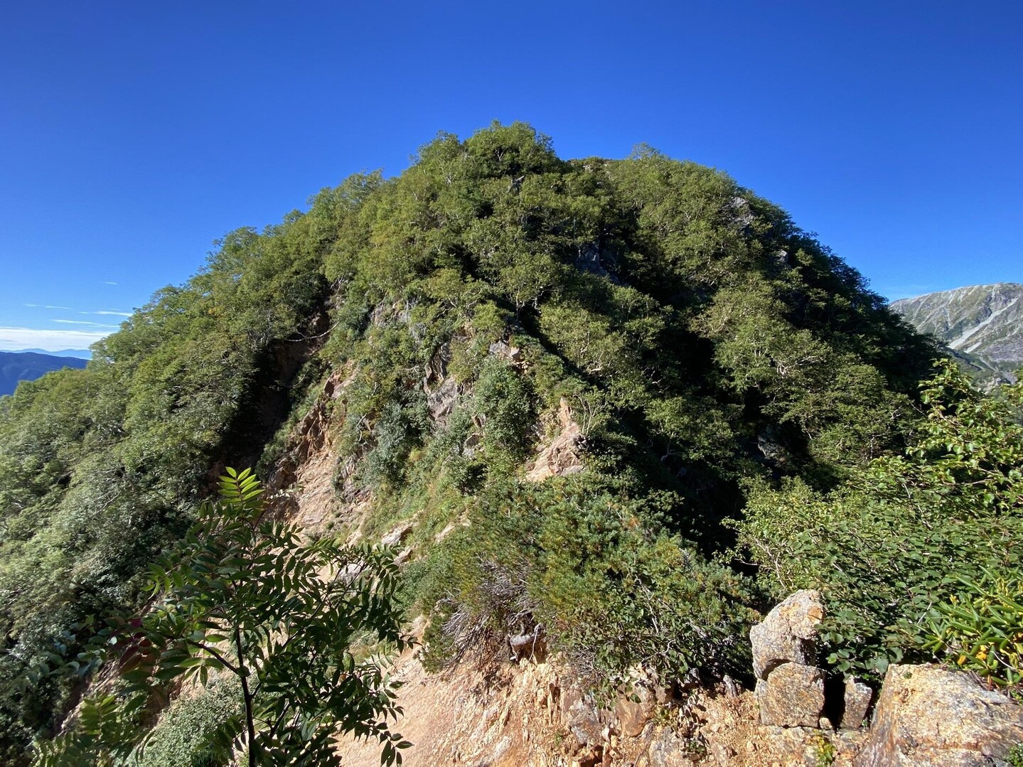 Hase100さんの投稿したフィールドメモ | YAMAP / ヤマップ