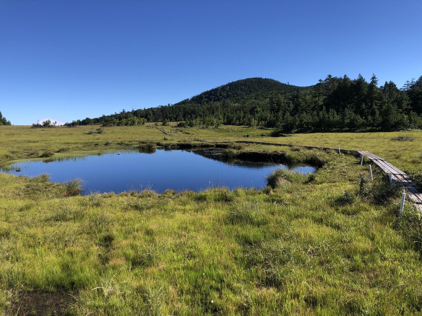 物見山(昆沙門山)・鬼怒沼山 / necomaru Xさんの鬼怒沼山・物見山・黒岩山の活動データ | YAMAP / ヤマップ
