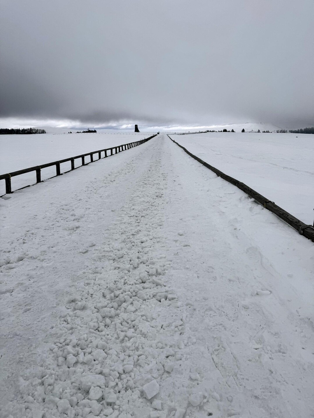 美ヶ原王ヶ頭 *暴風snowハイク / asukaさんの美ヶ原の活動データ | YAMAP / ヤマップ