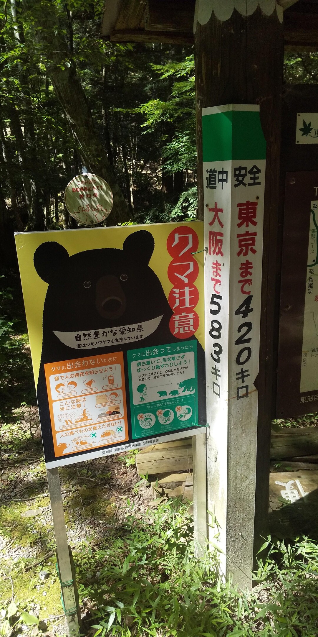 寧比曽岳 避暑 / mokoさんの寧比曽岳・筈ヶ岳・出来山の活動データ | YAMAP / ヤマップ