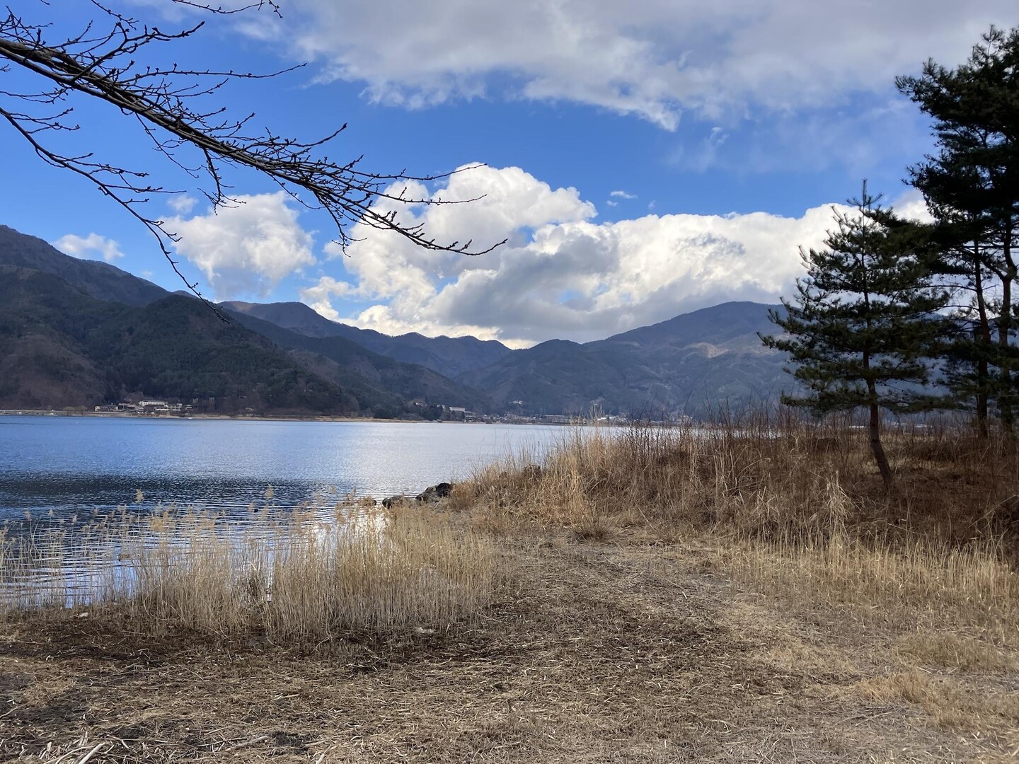 西湖北岸いずみの湯〜河口湖八木崎公園 / h.a.s.Uさんのウォーキングの活動日記 | YAMAP / ヤマップ