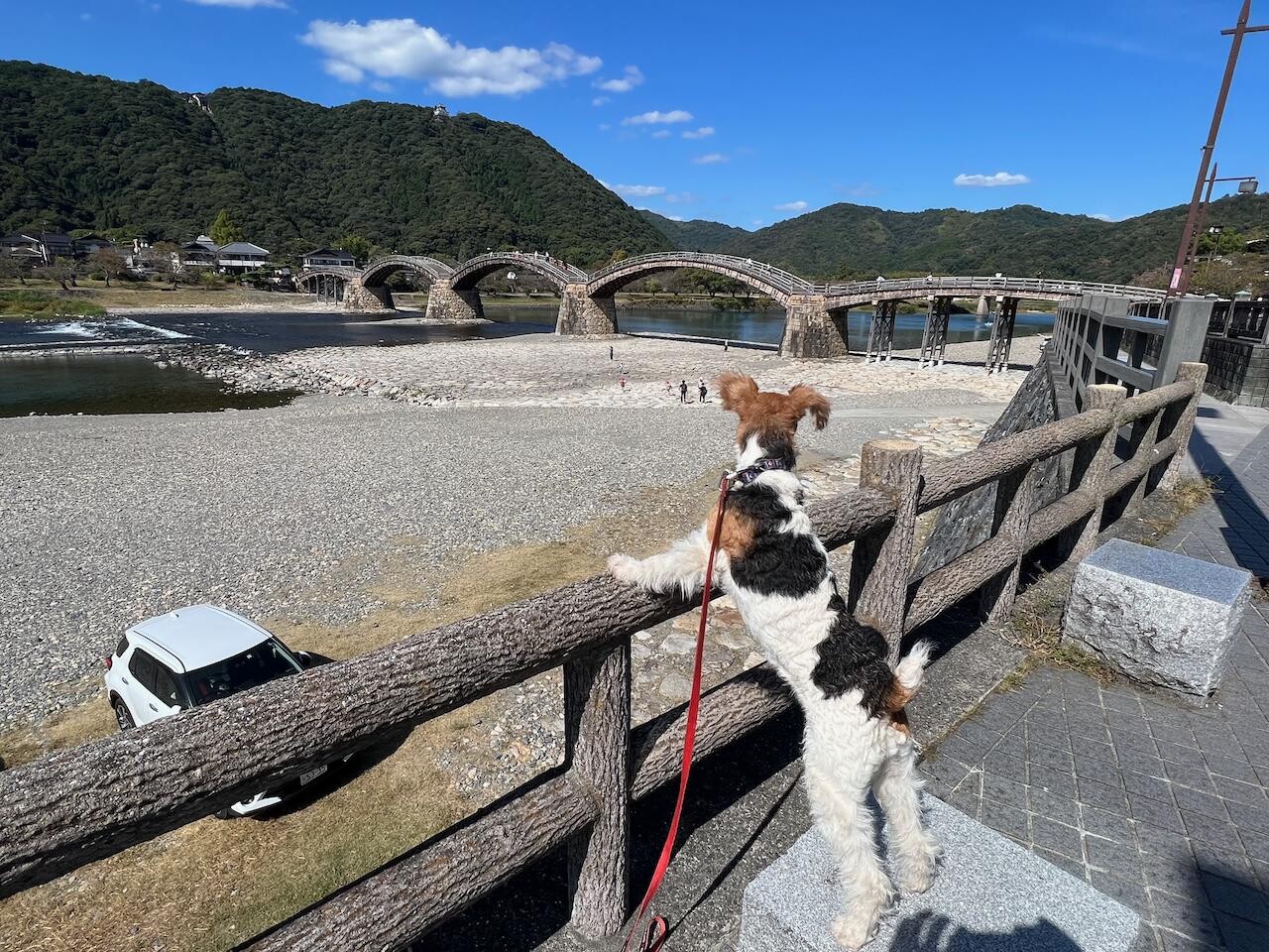 岩国 城山(横山) / masa omoさんの米山・大応山の活動日記 | YAMAP / ヤマップ